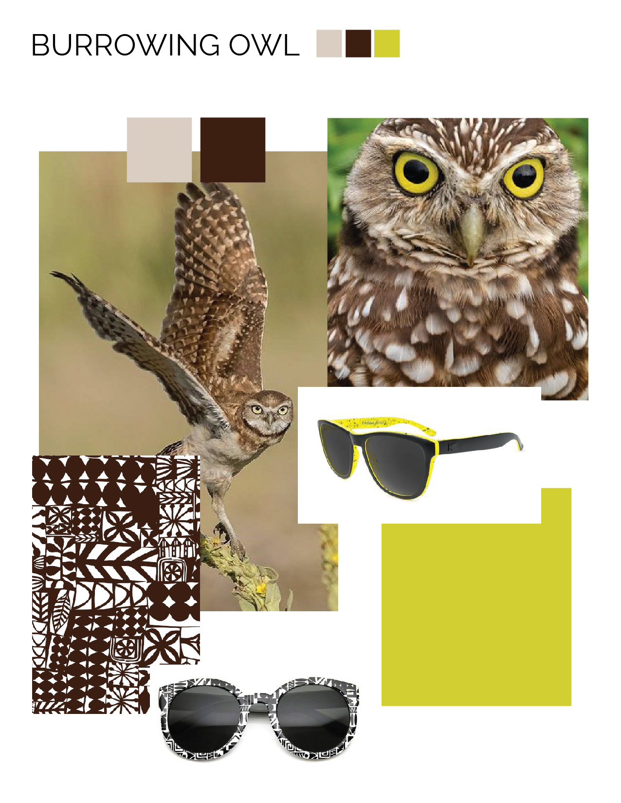 Endangered Species Mood Boards