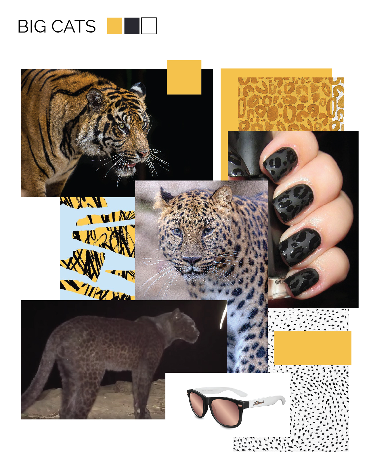 Endangered Species Mood Boards